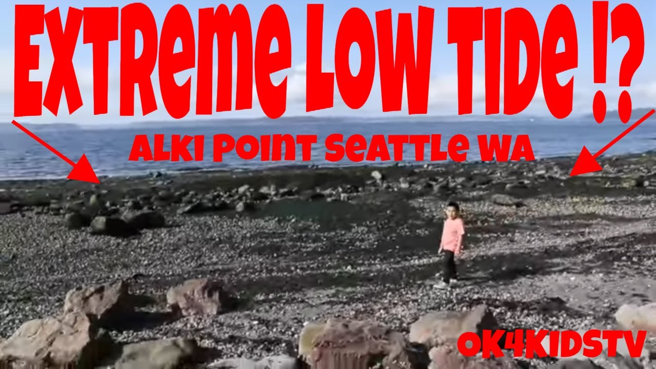 Seattle Travel with Kids Alki Point Seattle | Extreme Low Tide ...