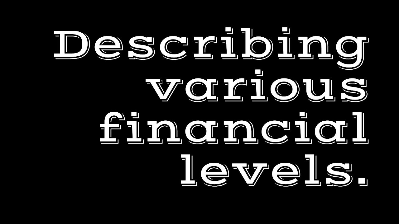 Describing various financial levels. - YouTube
