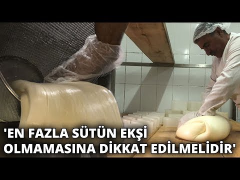 2 bin 667 metre rakımdaki köyde gravyer ve kaşar üretimi