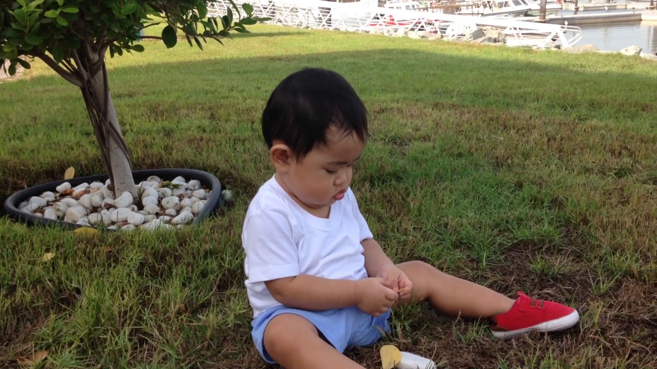 Gabgab under the tree - YouTube