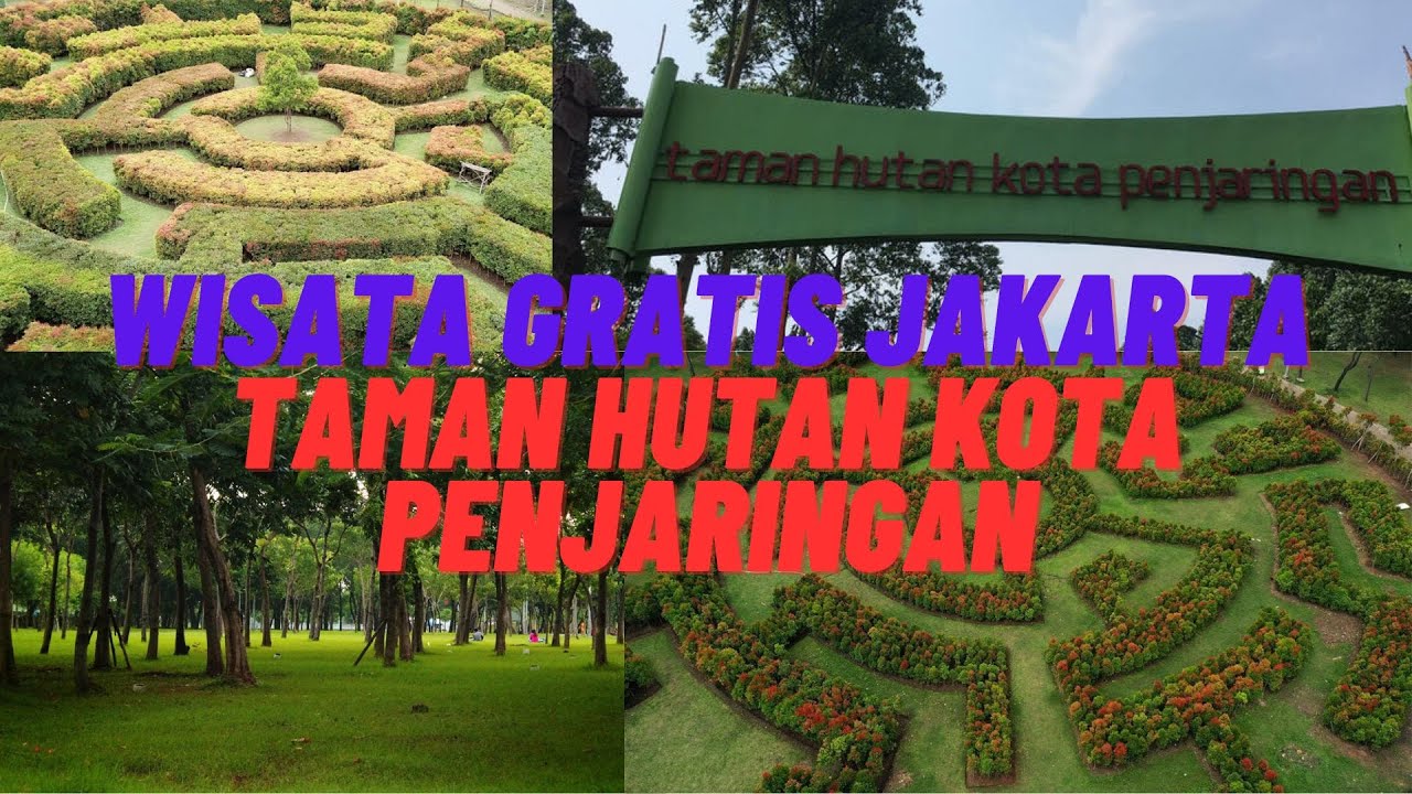 WISATA GRATIS JAKARTA 3 TAMAN HUTAN KOTA PENJARINGAN - YouTube