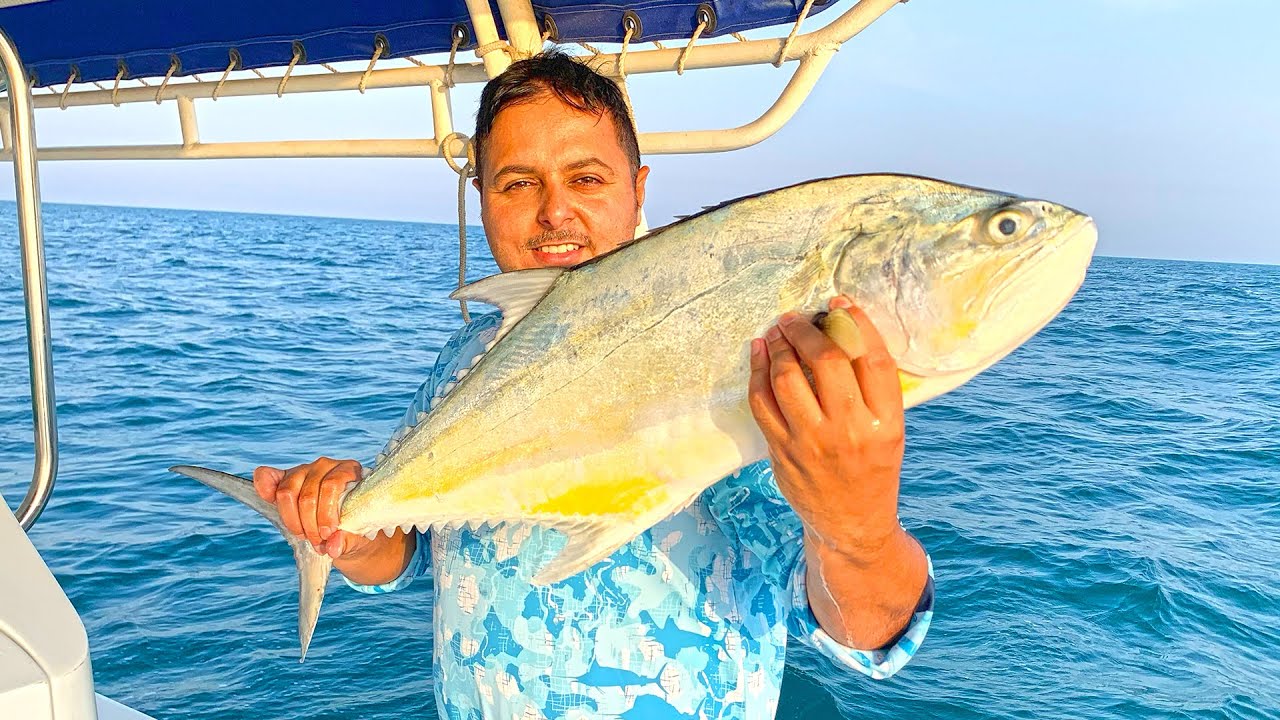 Giant Queen Fish Trolling with Daiwa Tanacom 1000 😱 سمكة الملكة الضخمة ...