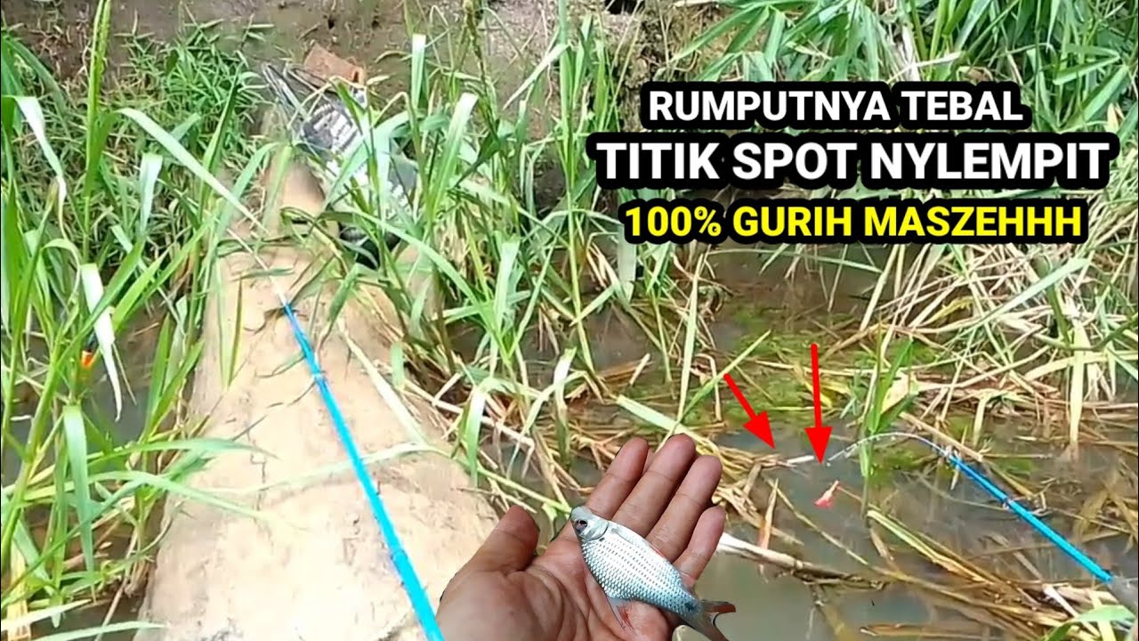 TEBEL NYLEMPIT...!!! SIAPA SANGKA SPOT SEPERTI INI BANYAK IKAN DI ...