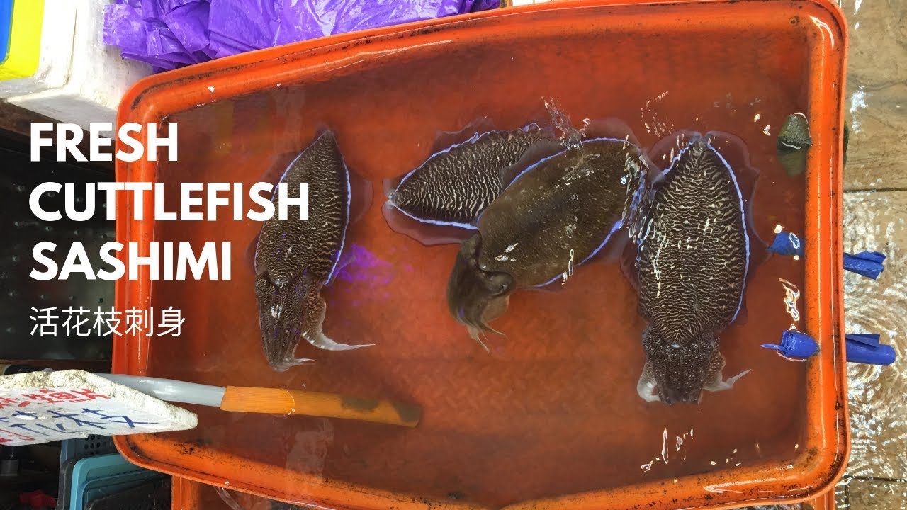 Fresh cuttlefish sashimi 活花枝刺身 - YouTube