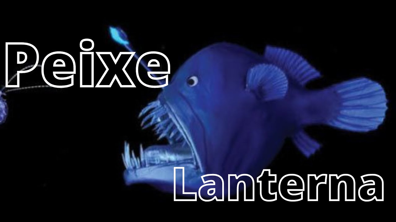 Conheça o Peixe Diabo Negro - Peixe Lanterna - YouTube
