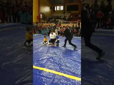 Küçük boksörler...