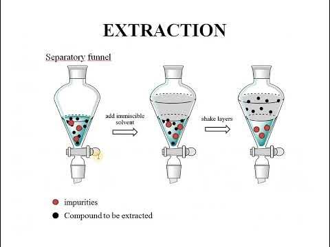 Extraction - YouTube