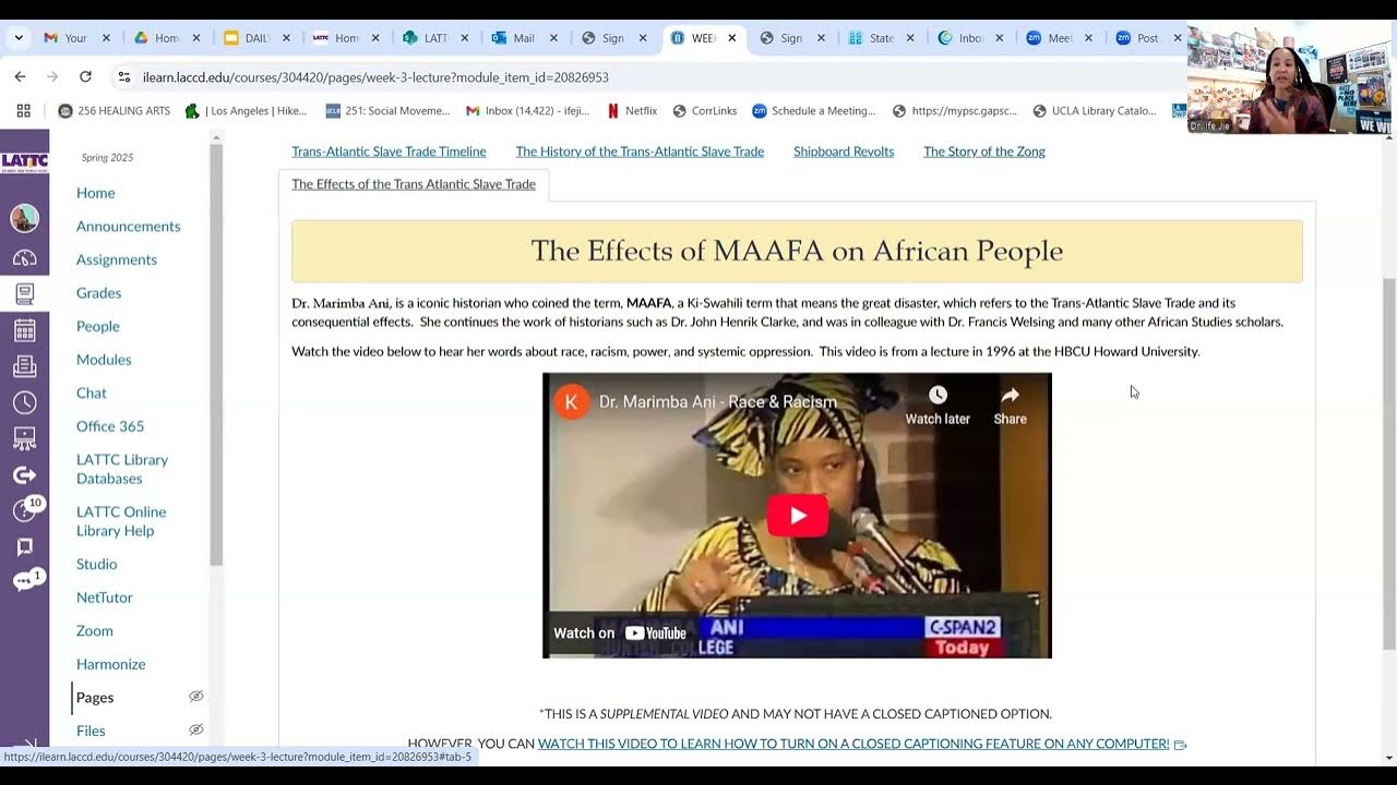 004 Spring Module 3 Overview - YouTube