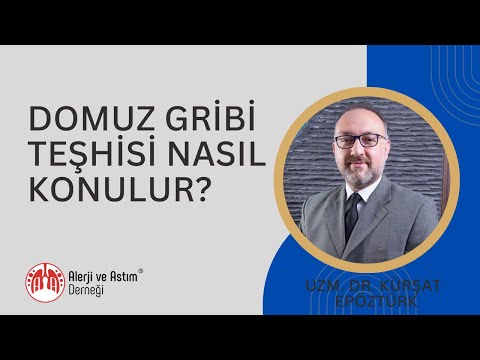 Domuz Gribi Teşhisi Nasıl Konulur?