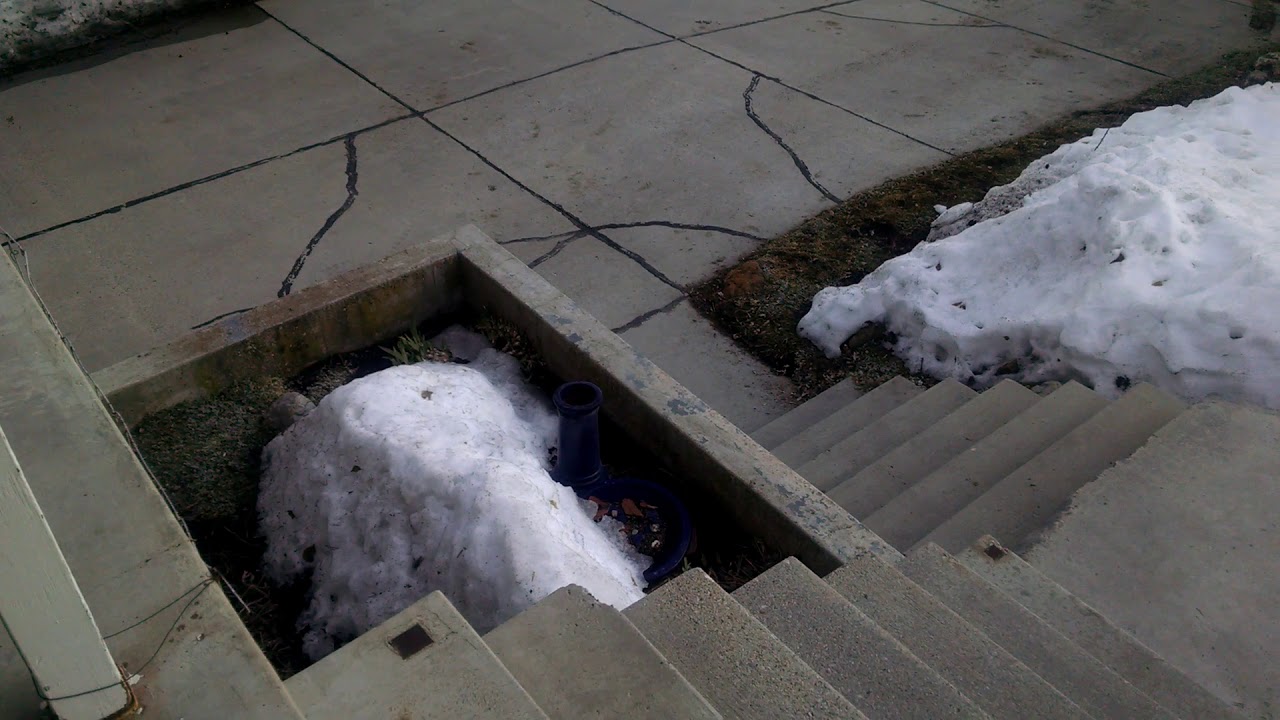 Patiently waiting for Spring - YouTube