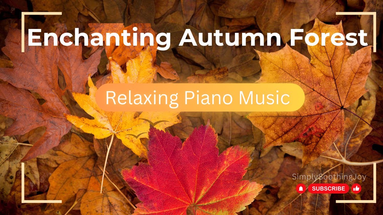 Magical Autumn Forests Unveiled: Serene Piano Tunes Accompany ...