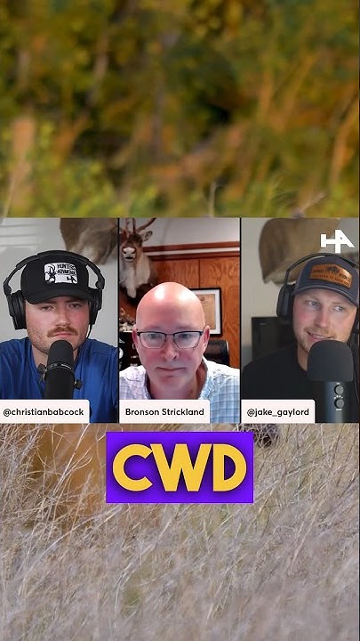 The origin of CWD - YouTube