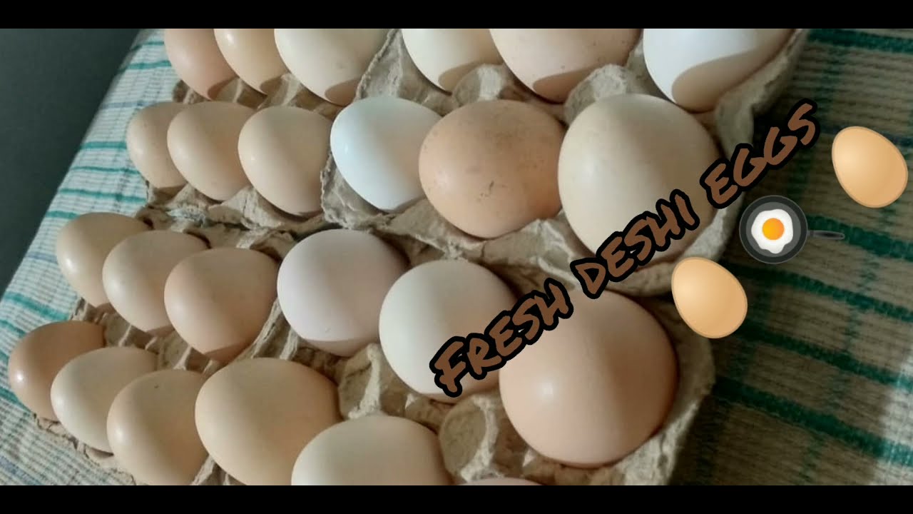 Fresh Deshi Eggs | darsh agro - YouTube