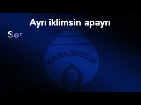 Aleyna Tilki Yalnız Çiçek (sözleriyle)