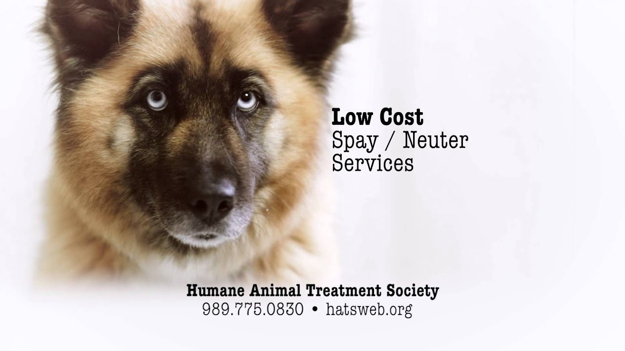 Humane Animal Treatment Society (HATS) Health Clinic - YouTube
