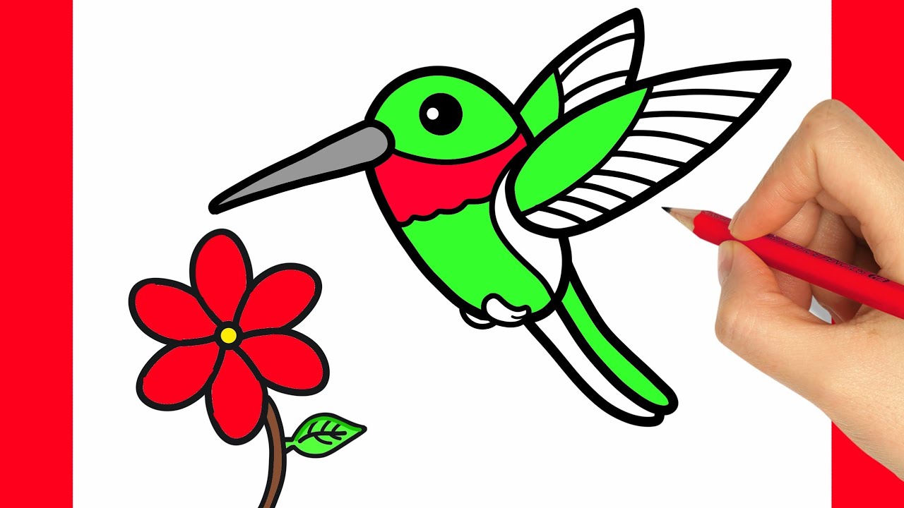 COMMENT DESSINER UNE COLIBRI - YouTube