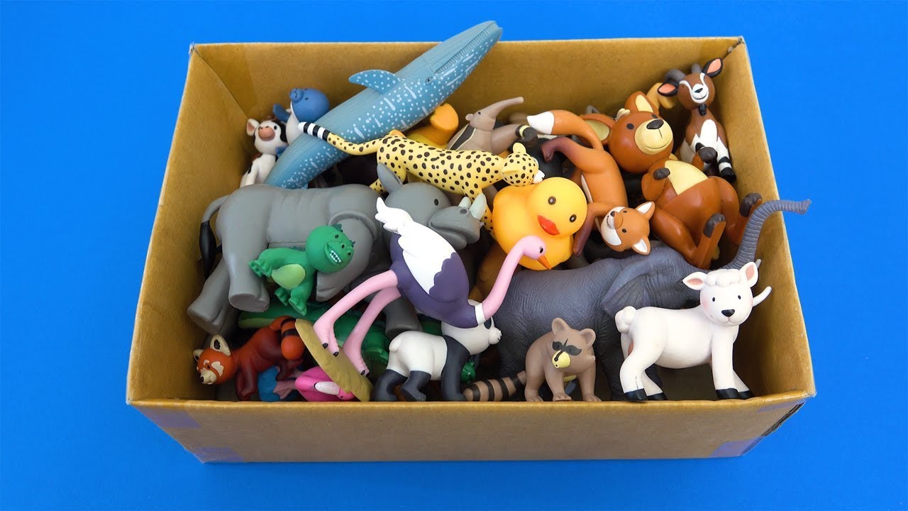 Learn Colors With Wild Animals Real animals sound and video for kids ...