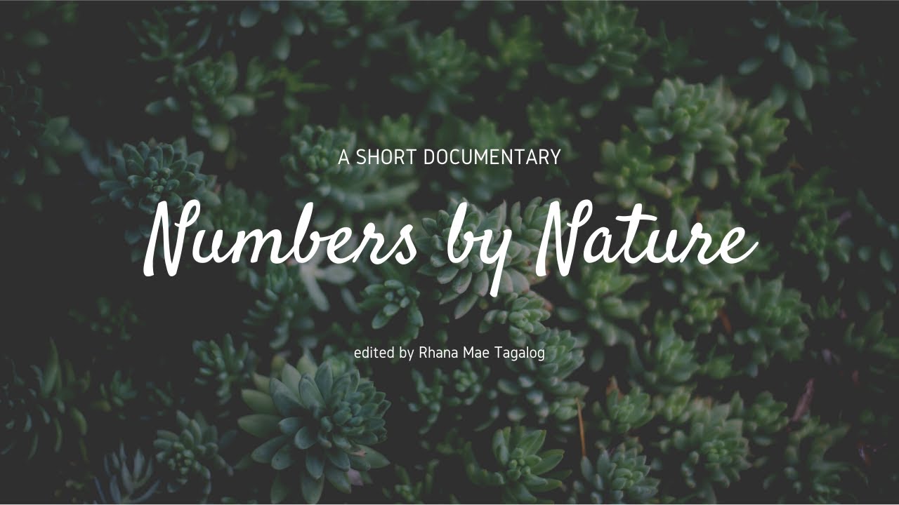 Nature by Numbers - MATH031 - YouTube