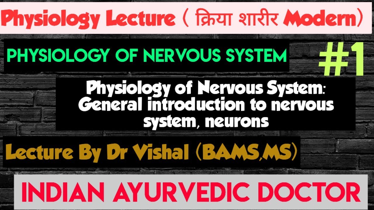 Physiology Of Nervous System 1 | Introduction, Neurons | Machanism Of ...