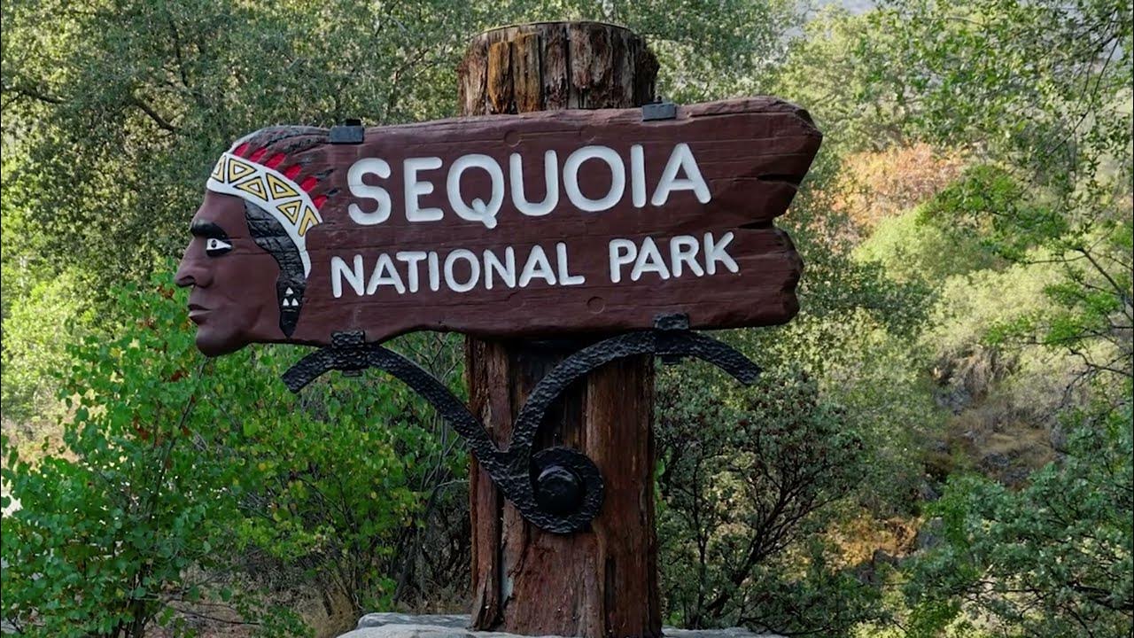Sequoia National Park - Five Interesting Facts about Sequoia National ...