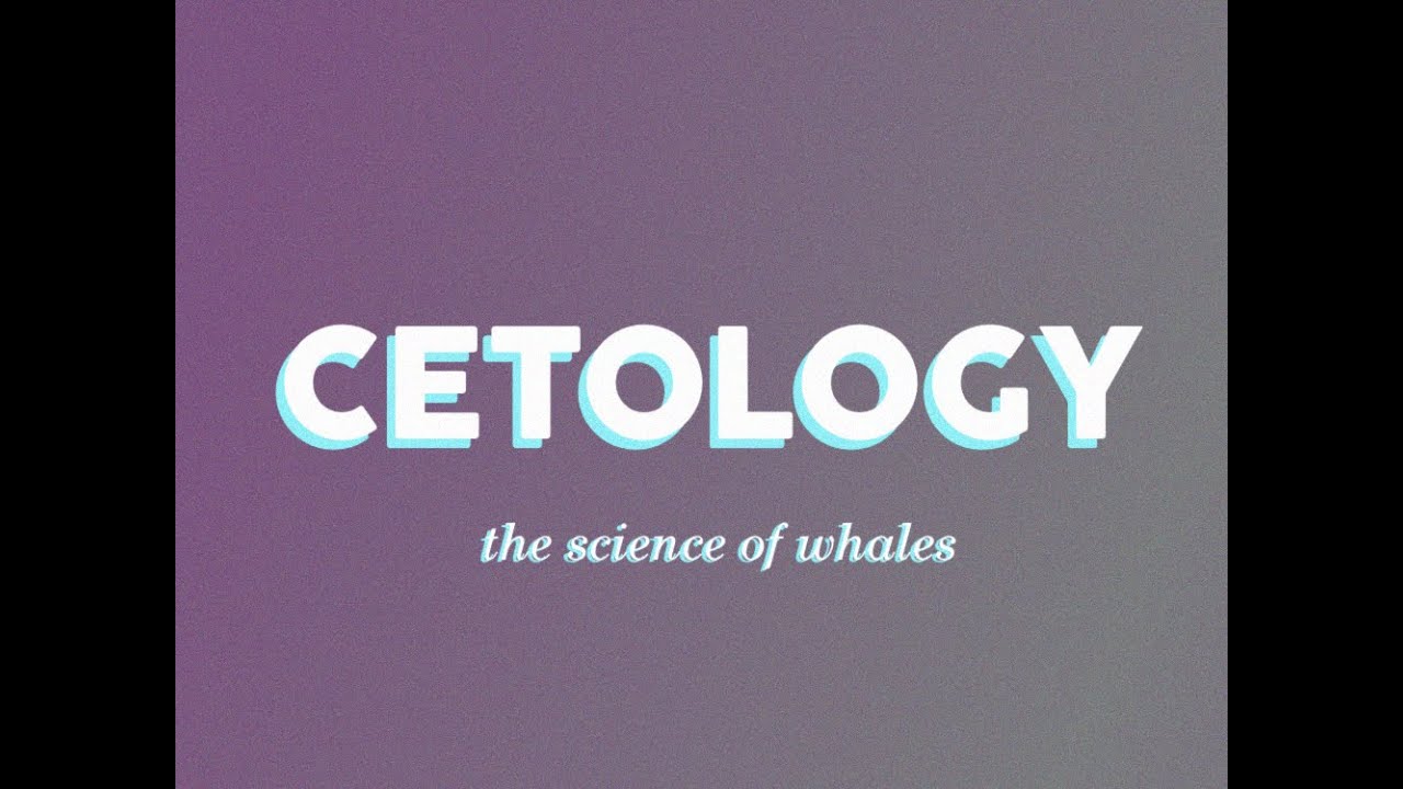 Chapter 32: Cetology - YouTube