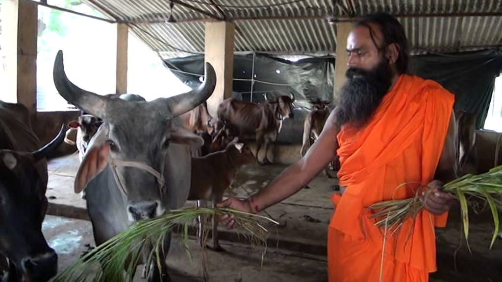 Shree Lila Purushotam Gaushala - Intro - YouTube