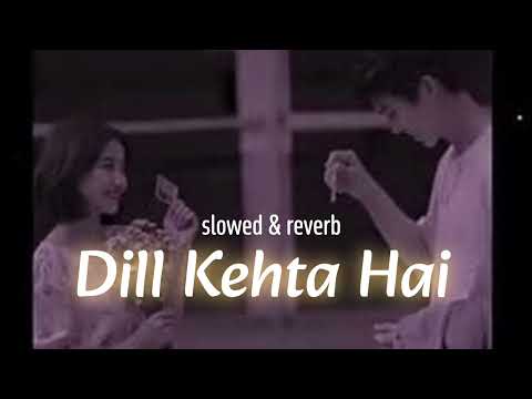 #Dil Kehta Hai | Akele Hum Akele Tum | Amir Khan | Manisha Koirala | Slowed Reverb song