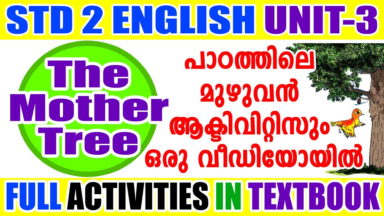 STD 2 ENGLISH CLASS 2 The Mother tree Full ACTIVITIES in TEXTBOOK ...