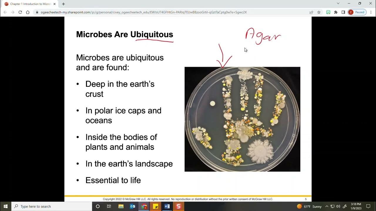 Chapter 1 Introduction to Microbes - YouTube