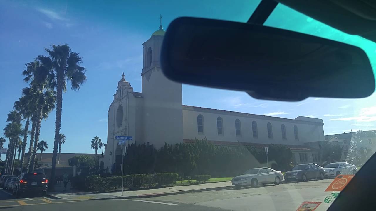 Trees at Ocean Beach Elementary school - YouTube