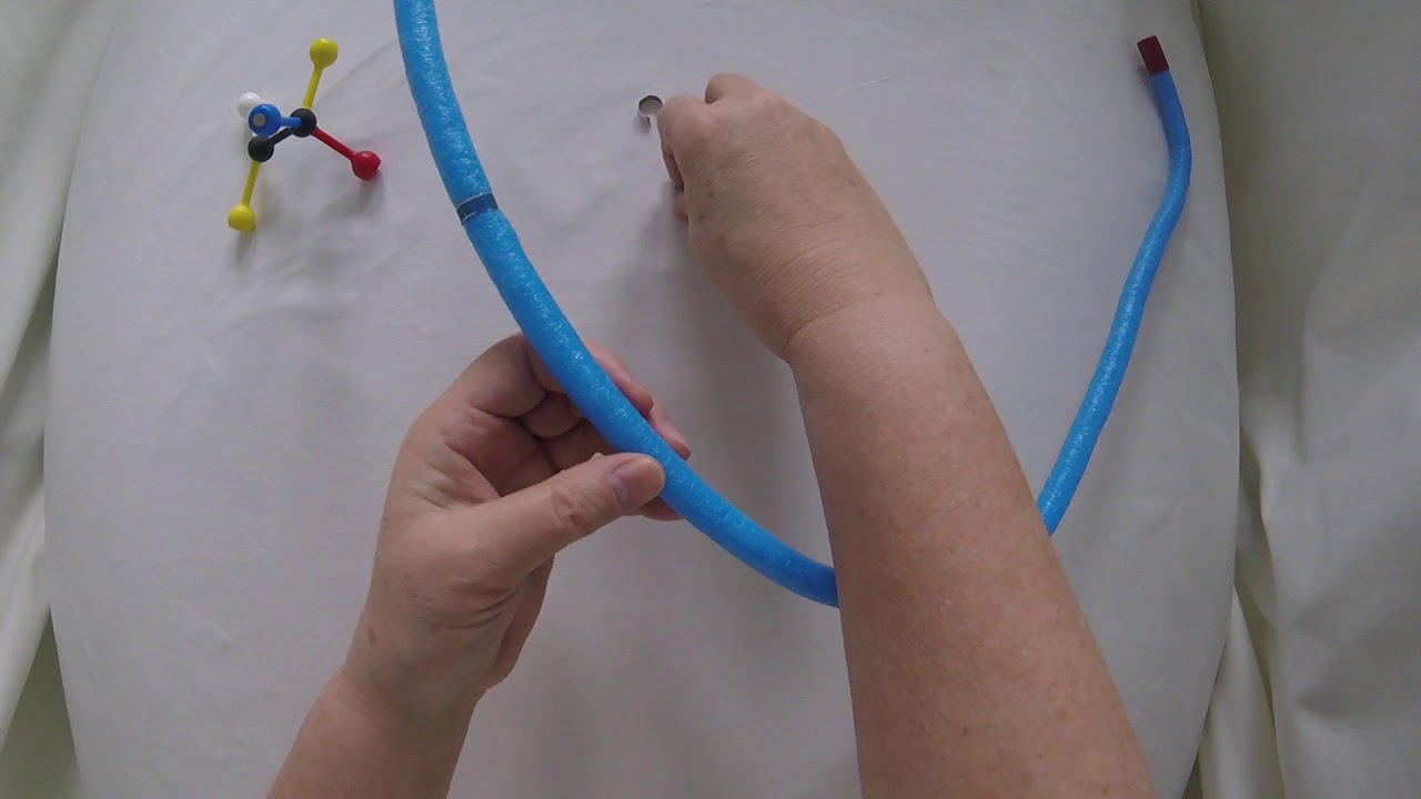 Building a Protein Model - YouTube