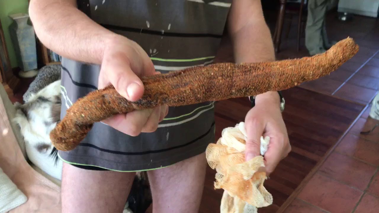 První domácí pršut - YouTube