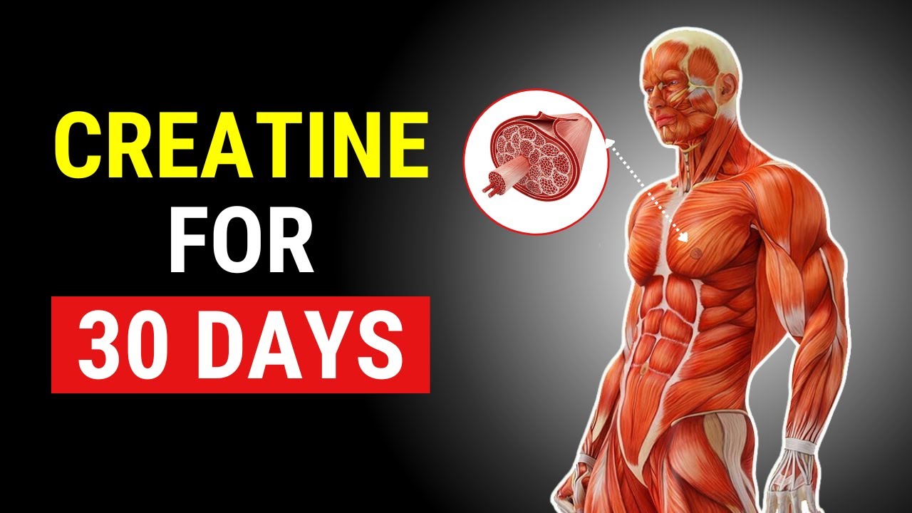 What Happens When You Take CREATINE For 30 Days (Science Explained) - YouTube
