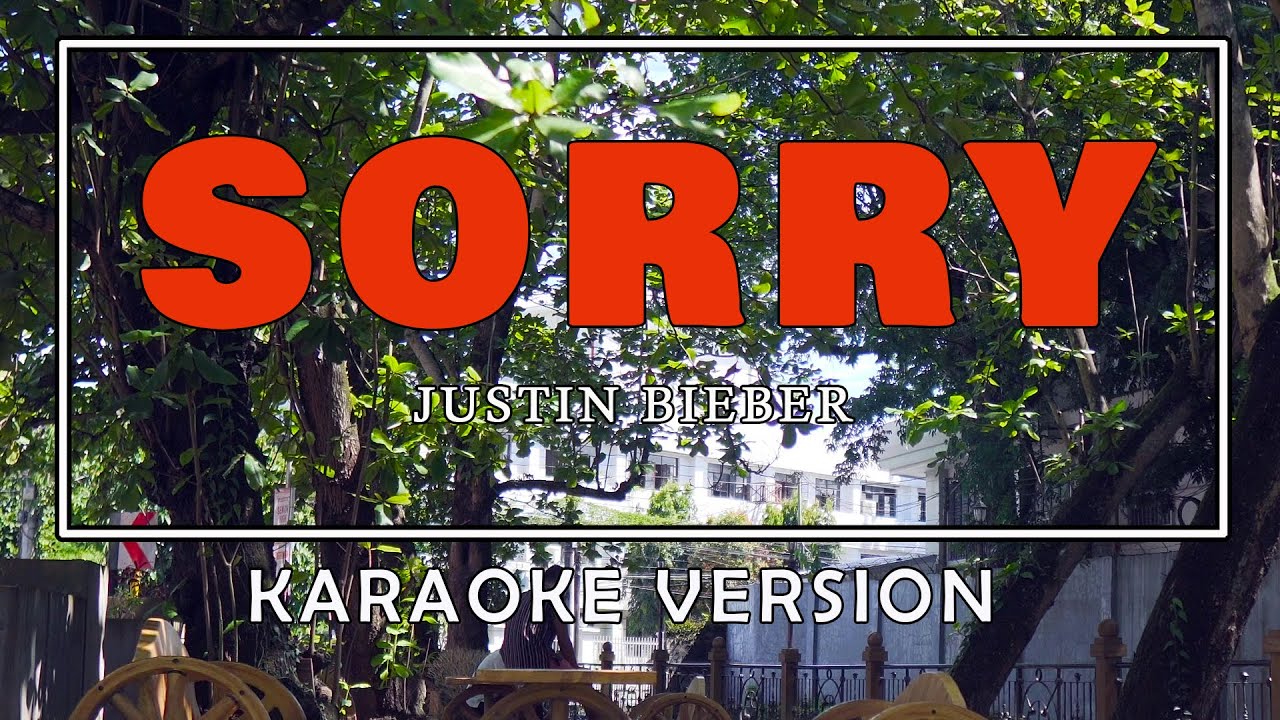 Sorry Song by Justin Bieber - YouTube