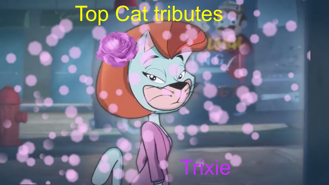 Top Cat Tributes: Trixie - Sweet Little Bumblebee - YouTube