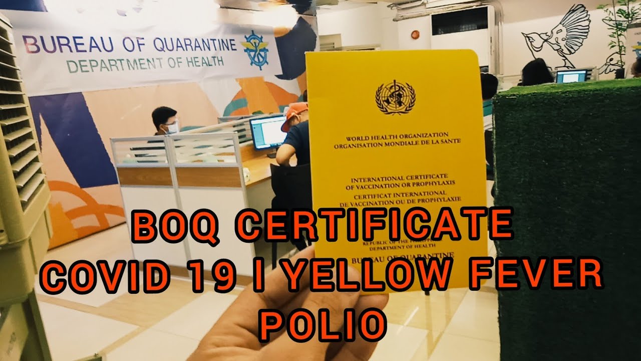 BOQ Vaccine Certificate Yellow fever Polio and Covid Cert l Life update ...
