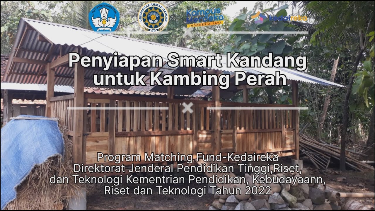 Proses Pembuatan Kandang Pintar Program Kedaireka 2022 - YouTube