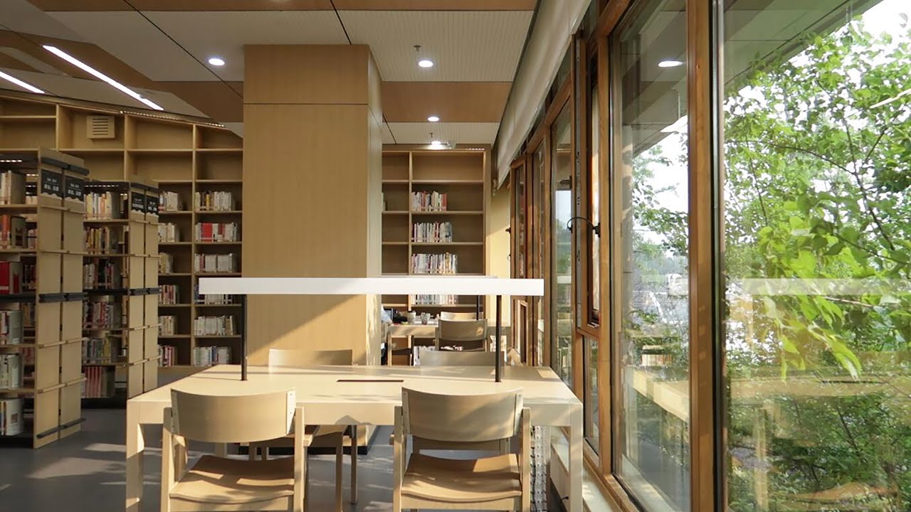 [White Noise] Afternoon in Library | Study Ambience - YouTube