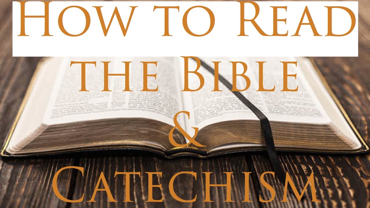 How to Read the Bible - Bible Basics - YouTube