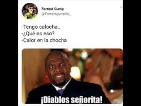 Tengo calocha - YouTube