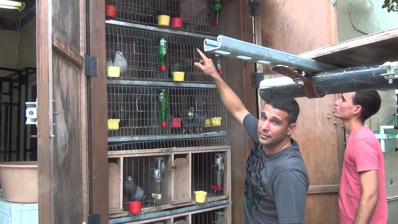 Palomiando con los sepultureros. - YouTube