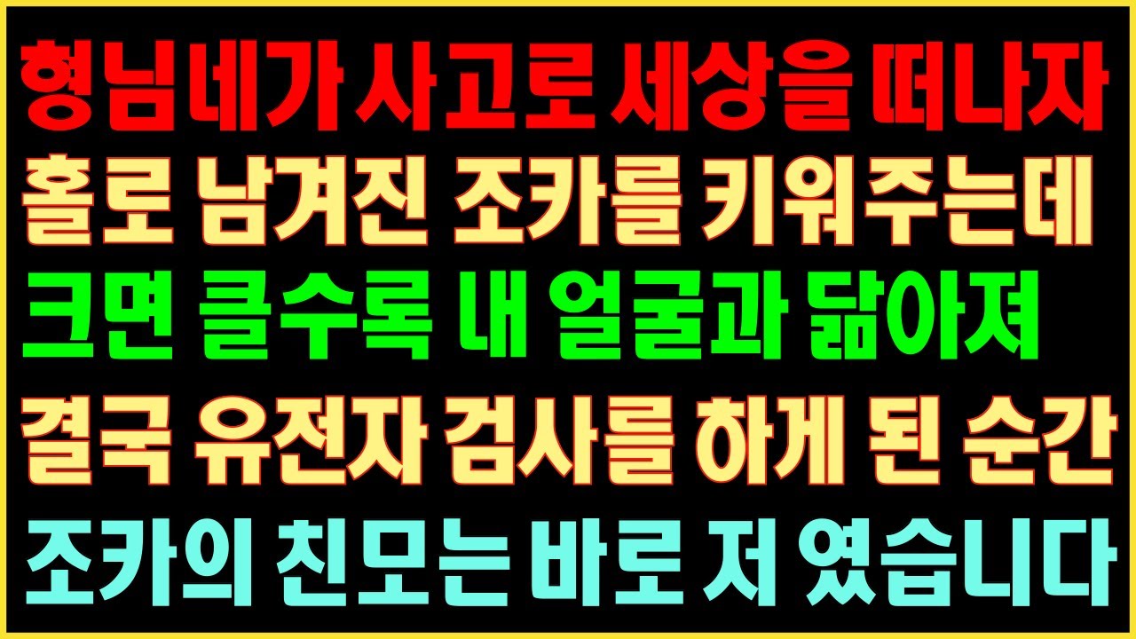 반전실화사연 형님네가 사고로 세상을 떠나자 홀로 남겨진 조카를 키워주는데 크면 클수록 내 얼굴과 닮아져 결국 유전자 검사를 하게 된 순간 조카의 친모는 바로 저 였습니다