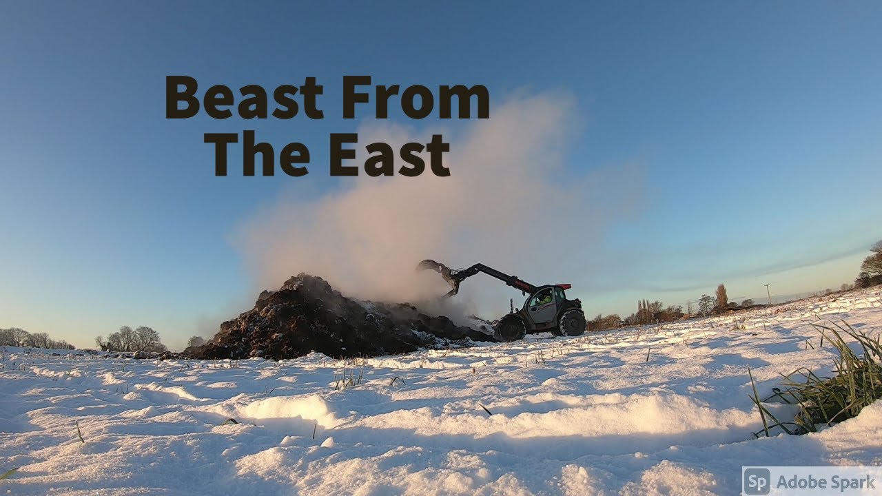 Beast From The East - YouTube