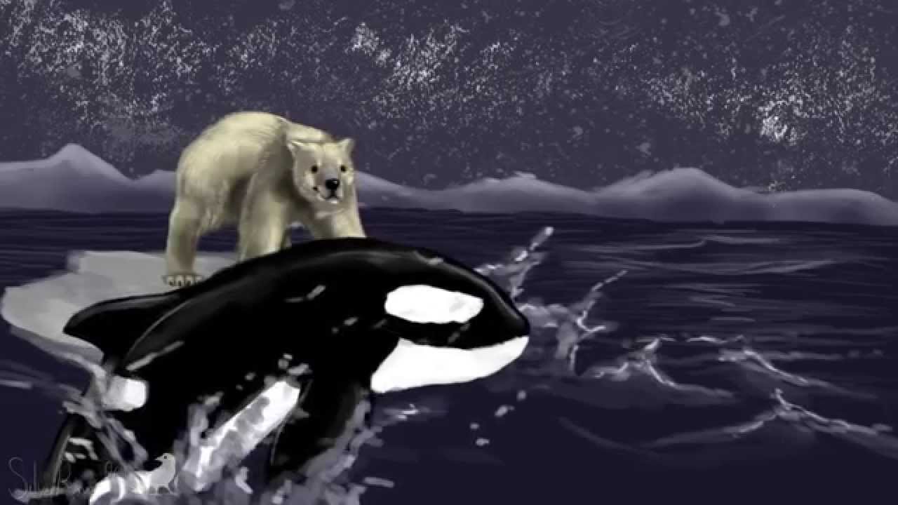 orca map part 3 - YouTube