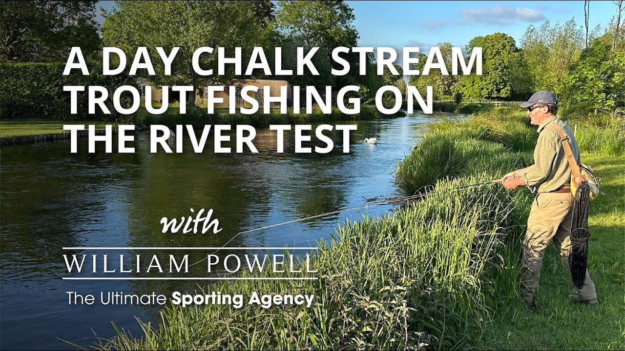 Spend the day Fly Fishing for Brown Trout on the River Test - Wherwell ...
