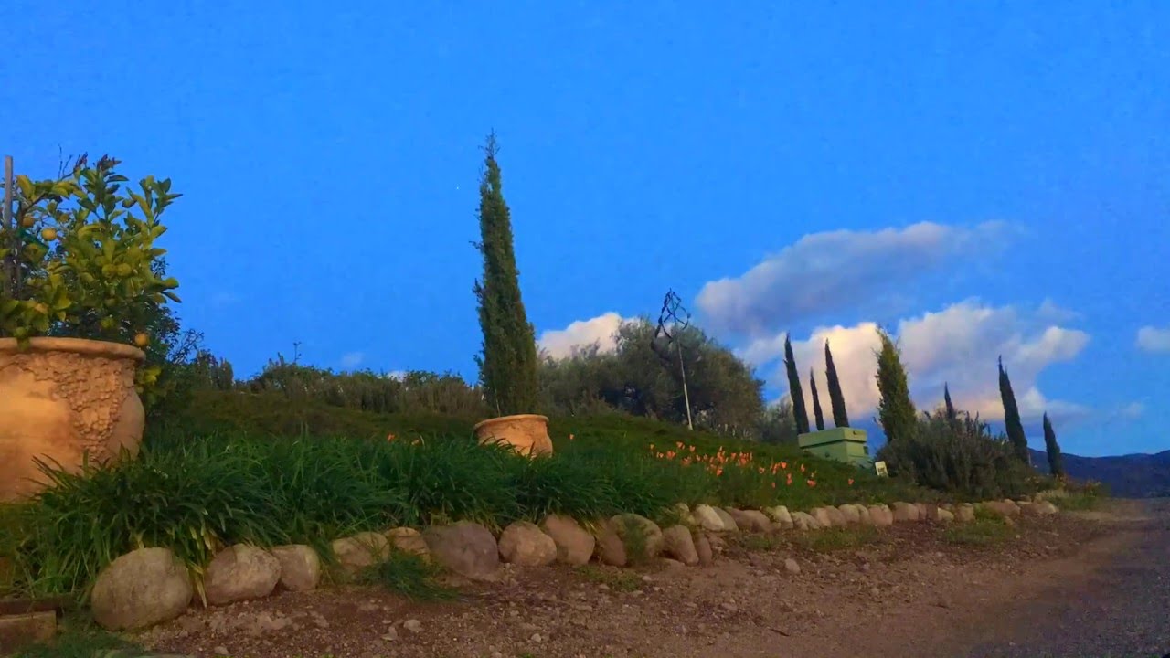 UPPER ATLAS PEAK ROAD - NAPA, CALIFORNIA - YouTube
