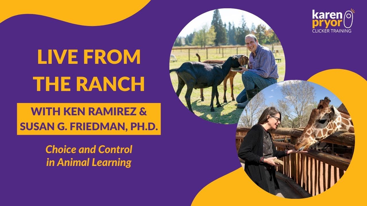 Choice and Control in Animal Learning • Susan G. Friedman, Ph.D. & Ken ...