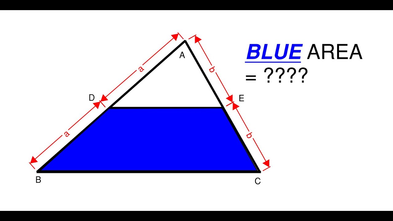 Can You Find the Blue Area of This Triangle? Test Your Math Skills Part ...