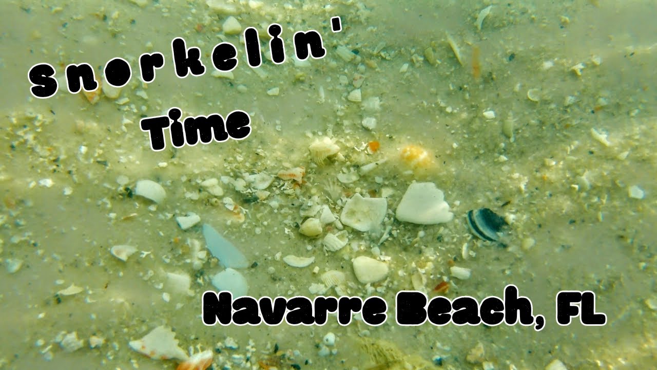 Snorkeling & Virtual Shelling Navarre Beach Part Two - YouTube