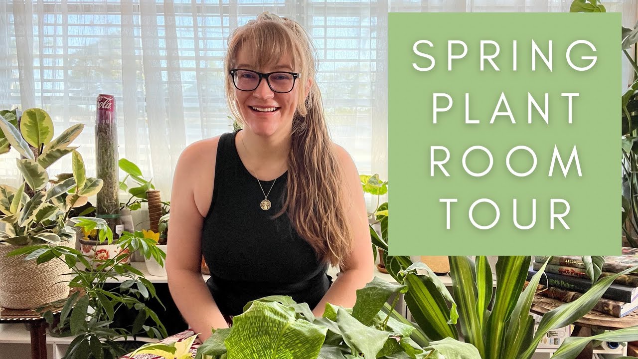 Spring 2023 Houseplant Tour - Touring My Spring Plant Room - Plant ...